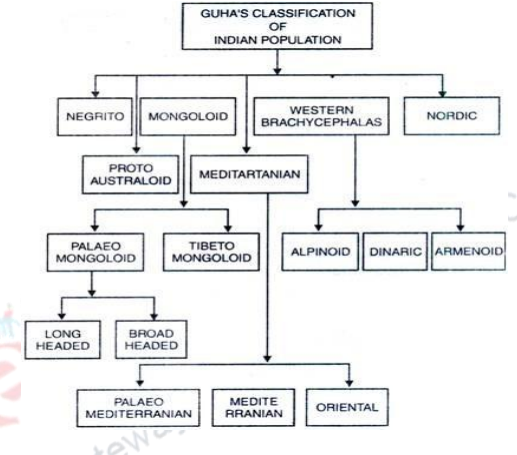 Unity And Diversity In Indian Society And Culture – Indian Anthropology