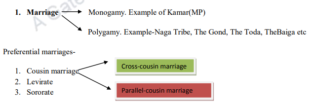 Backward classes and Scheduled Caste – Indian Anthropology