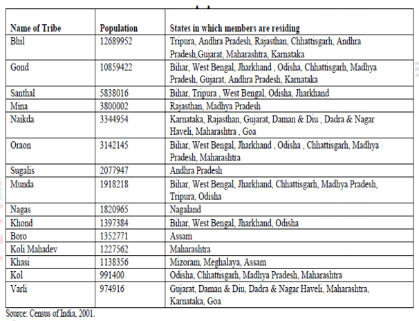 Tribal Situation in India – Indian Anthropology