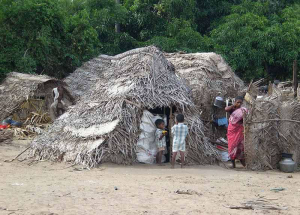 Kinship, familyand marriage among the Indian tribes – Tribal cultures ...