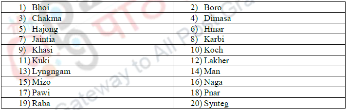 Tribes of India’s North East – Tribal cultures of India