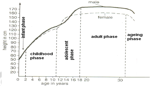 Definition and concepts of growth, differentiation, maturation and ...
