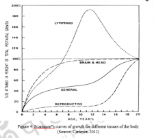 Definition and concepts of growth, differentiation, maturation and ...