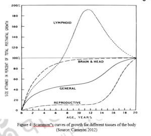 Definition and concepts of growth, differentiation, maturation and ...
