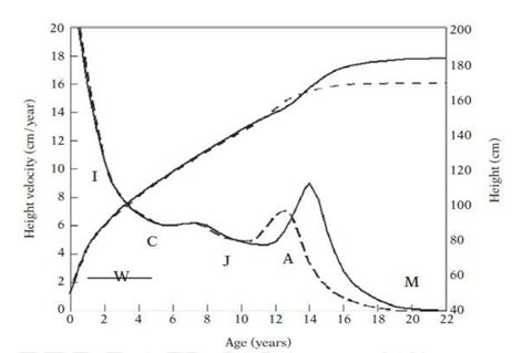 Evolution of Human Growth – Human growth, development and nutrition