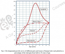 Human Growth curves of different body parts and tissues – Human growth ...