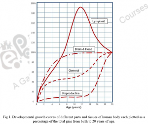 Human Growth curves of different body parts and tissues – Human growth ...