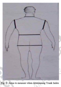 Sheldon and Parnell Classification of Somatotype – Human growth ...