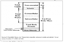 Body Composition – Human growth, development and nutrition