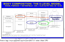 Body Composition – Human growth, development and nutrition