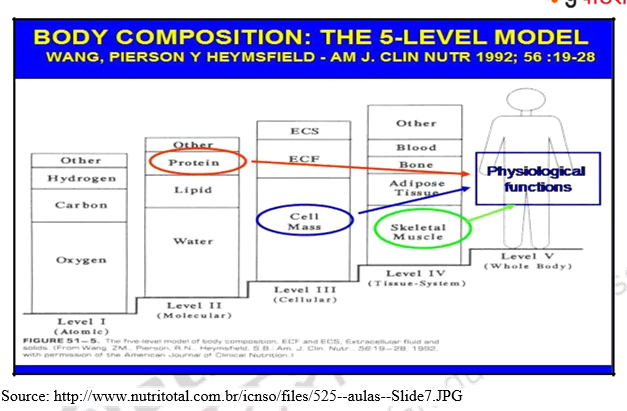 Body Composition – Human growth, development and nutrition