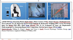 Methods of Studying Body Composition – Human growth, development and ...