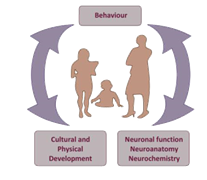 Definition and concepts of growth, differentiation, maturation and ...
