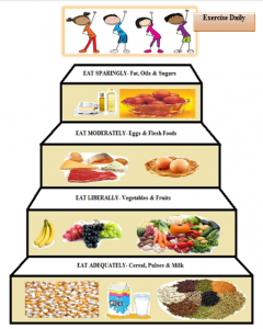 Concept of Balanced Diet – Human growth, development and nutrition