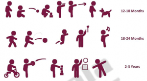 Definition and concepts of growth, differentiation, maturation and ...