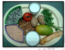 Concept of Balanced Diet – Human growth, development and nutrition