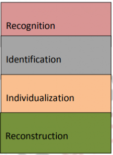Crime scene investigations – Forensic anthropology