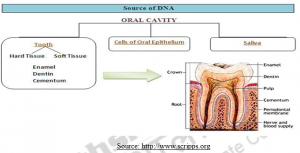 Importance of Dental Records in Forensic Odontology – Forensic anthropology