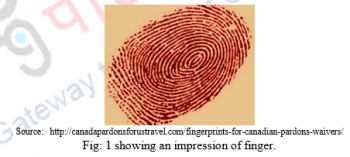 Classification for Filing Fingerprints – Forensic anthropology