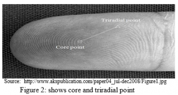 Classification for Filing Fingerprints – Forensic anthropology