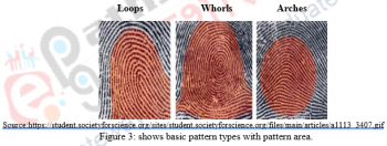 Classification for Filing Fingerprints – Forensic anthropology