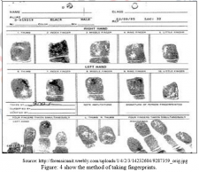 Classification for Filing Fingerprints – Forensic anthropology