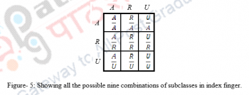 Classification for Filing Fingerprints – Forensic anthropology