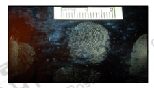 Searching and Comparison of Fingerprint Techniques – Forensic anthropology