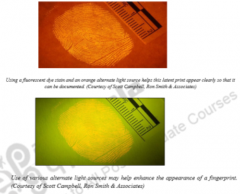 Searching and Comparison of Fingerprint Techniques – Forensic anthropology