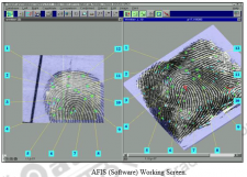 Searching and Comparison of Fingerprint Techniques – Forensic anthropology