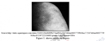 Analysis of Palm and Fingerprints – Forensic anthropology