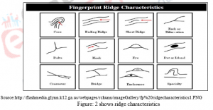 Analysis of Palm and Fingerprints – Forensic anthropology