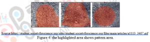 Analysis of Palm and Fingerprints – Forensic anthropology