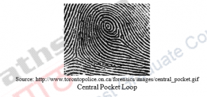 Analysis of Palm and Fingerprints – Forensic anthropology