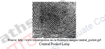 Analysis of Palm and Fingerprints – Forensic anthropology