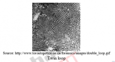 Analysis of Palm and Fingerprints – Forensic anthropology