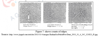 Analysis of Palm and Fingerprints – Forensic anthropology