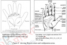 Analysis of Palm and Fingerprints – Forensic anthropology