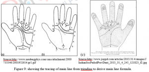 Analysis of Palm and Fingerprints – Forensic anthropology