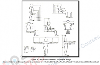 Identification through Somatometric and Somatoscopic Observation ...