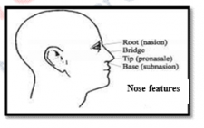 Identification through Somatometric and Somatoscopic Observation ...
