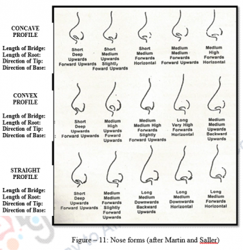 Identification through Somatometric and Somatoscopic Observation ...