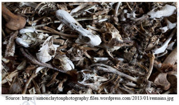 Establishment of Identity through Skeletal Remains – Forensic anthropology