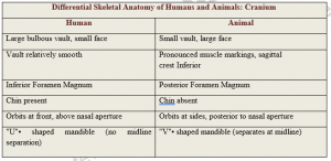 Comparison between human and non-human skeletal remains – Forensic ...