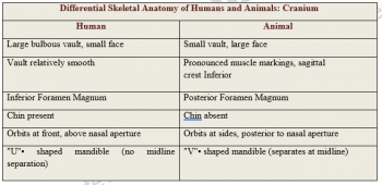 Comparison between human and non-human skeletal remains – Forensic ...