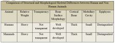 Comparison between human and non-human skeletal remains – Forensic ...