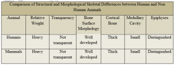 Comparison between human and non-human skeletal remains – Forensic ...