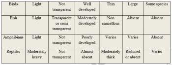 Comparison between human and non-human skeletal remains – Forensic ...