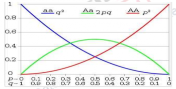 Definition and Scope of Population Genetics – Human population genetics