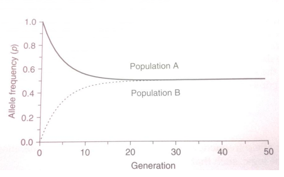 Models to study gene flow – Human population genetics